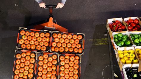 Perishable Goods Supply Chain Fast Decisions Spell Success