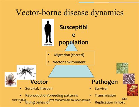 Vector Borne Diseases Pptx