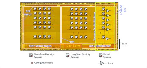 Rolls Neuromorphic Processor Micrograph Of A Neuromorphic Processor Download Scientific Rolls Neuromorphic Processor Micrograph Of A Neuromorphic Processor Download Scientific