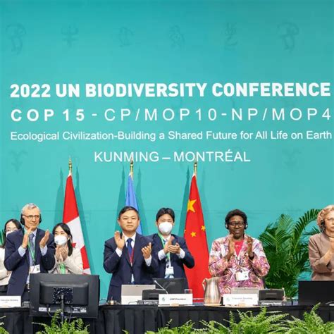 The Global Biodiversity Framework A Framework For All Life On Earth Sahabat Alam Malaysia