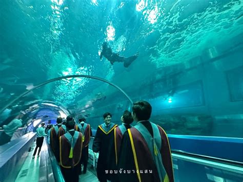 Photo Gallery ฉีกทุกกฎรับปริญญา “ม บูรพา ปัญญาภิวัฒน์” โชว์เงือก เปิดคอนเสิร์ต โพสต์ท่าถ่าย