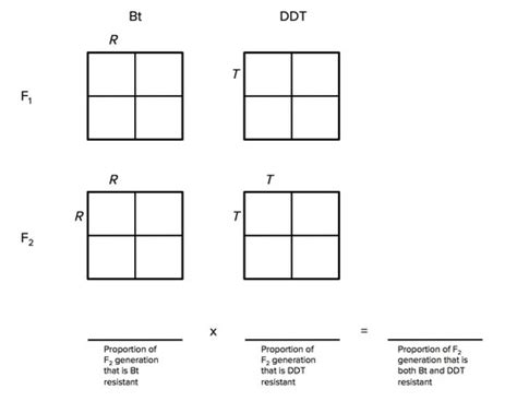 Chapter 10 Quiz Flashcards Quizlet