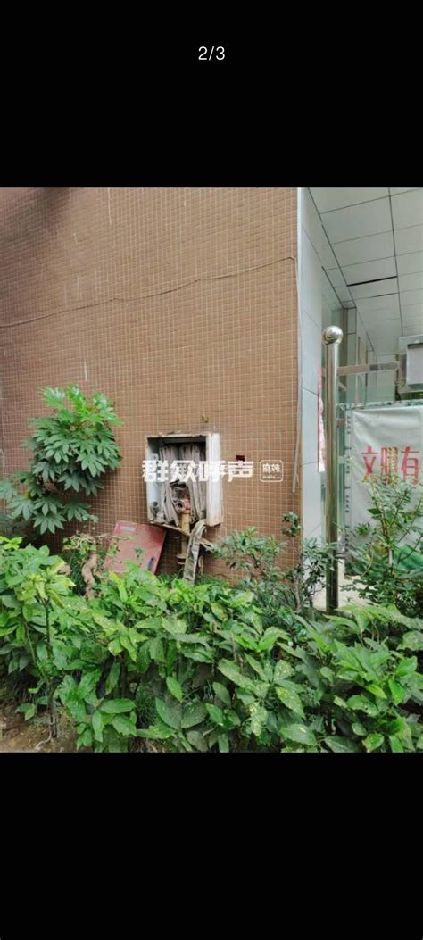 兴想花园小区消防安全隐患问题 群众呼声四川问政 四川省网上群众工作平台 新都区委书记