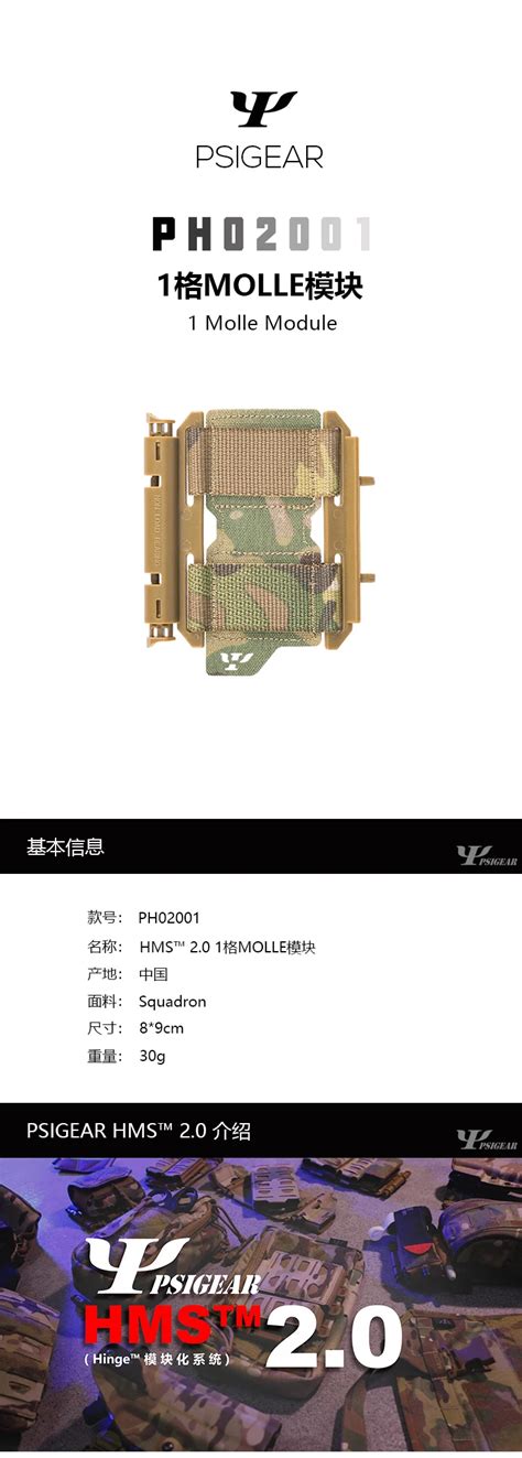PSIGEAR HMS 2 0 One Cell Molle Module Extension Techwear Accessories Eorilab Com