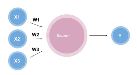 What Is A Perceptron Basics Of Neural Networks Towards Data Science