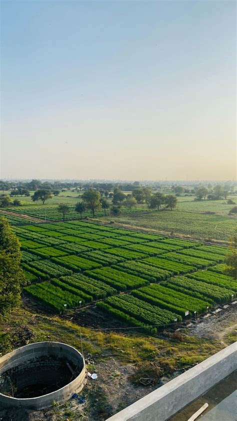 Ravi Nagda On Linkedin When We Look At Our Plots From Above Feel ️ Wheat Session 2024