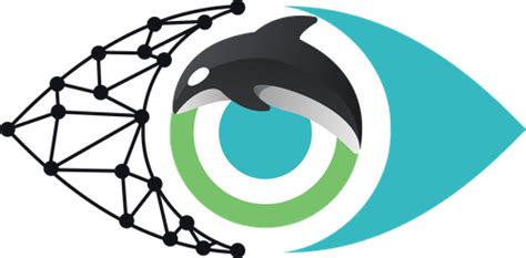 Orca Ai Api