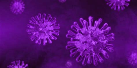 Combating Antimicrobial Resistance Insights From Antimicrobial Stewardship Research Research