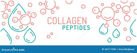 Connective Tissue Collagen Fibres And Single Cells 3d Illustration