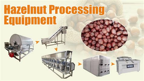 Efficient Hazelnut Processing Equipment Hazelnut Processing Plant Hazelnut Shelling Machine