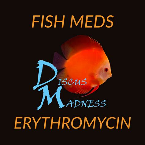 Erythromycin Discus Madness