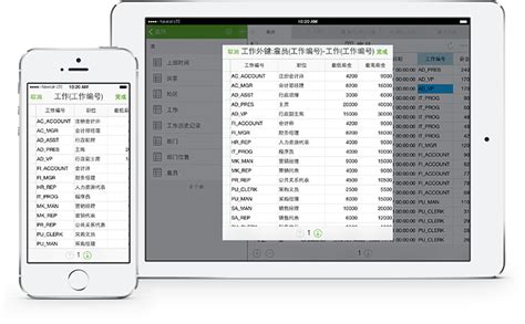 Navicat For Mysql Ios 功能简介 Navicat中文网站