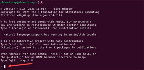 How To Install R On Ubuntu 20 04 And 22 04