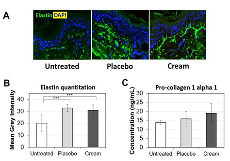 Evaluation Of The ECM On Human Skin Explants After Eight Days Of Download Scientific Diagram