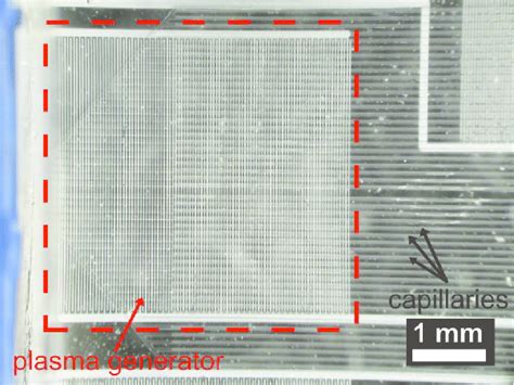 The Comb Layout Electrode Distance 30μm Electrode Width 10μm 16mm 2