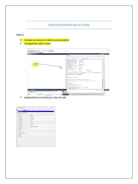 computer networks lab 10 f219066 pdf