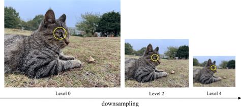 Gaussian Image Pyramid The Downsampling Images From Level 0 To Level 4