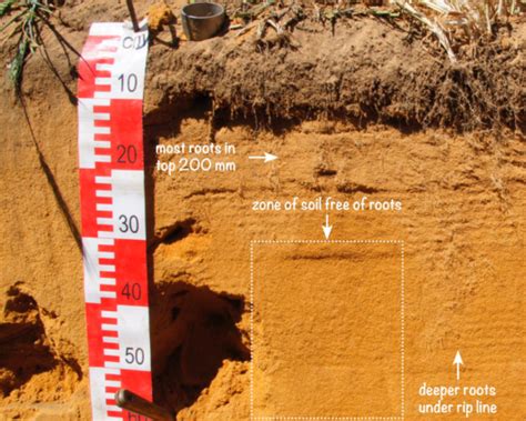 Soil Compaction Explained Soil Quality Knowledge Base