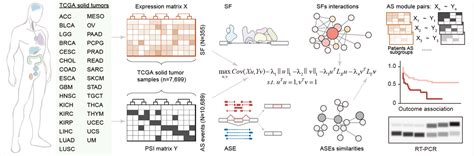 Zhaoqi Liu Lab Computational Biology Big