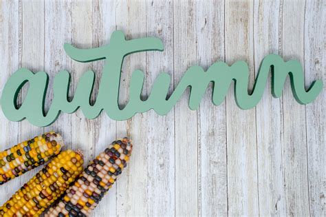 그린이을 텍스트 구문을 옥수수 나무 배경에 화려한 껍데기 배너 및 헤더에 대 한 유용한이을 10월에 대한 스톡 사진 및 기타 이미지 Istock