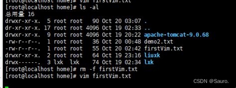Linux编辑文件时提示 swp文件已存在怎么办vim编辑 sunny 博客园 Linux编辑文件时提示 swp文件已存在怎么办vim编辑 sunny 博客园
