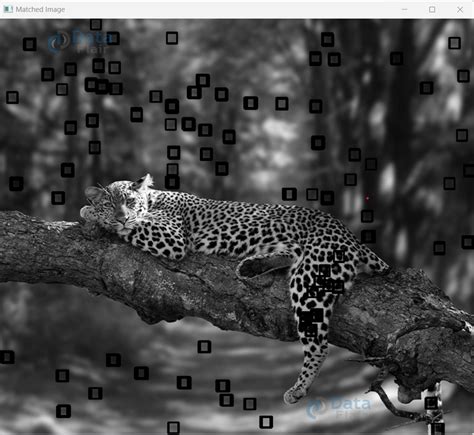 Opencv Template Matching Dataflair