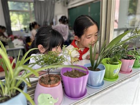 五河小学：“窗台上的绿色”植树节活动暨劳动种植体验启动仪式
