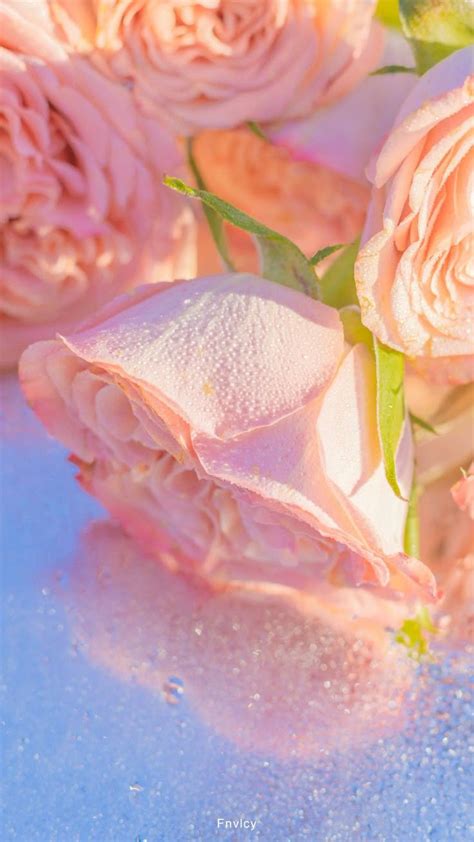 Ghim của Lil Simp trên Cute Pink Pics Hoa nở Thiên nhiên Nhật ký nghệ thuật