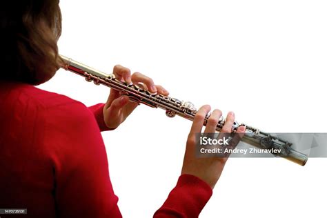 여자는 흰색 배경에 고립 된 큰 콘서트 플루트 를 들고 있습니다 리허설에서 전문 음악가 가로 플루트에 대한 스톡 사진 및 기타 이미지 Istock