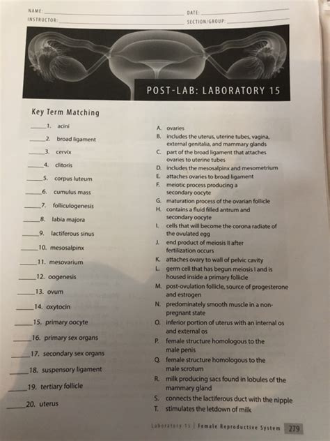 solved name instructor date section group post lab