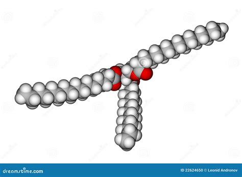 Triglycerides Molecule Structure