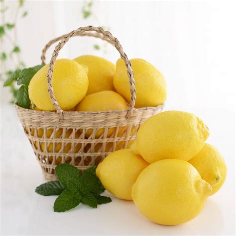 【c】opencvsharpのmatとnumpyのndarrayを相互変換する れもんノート 【c】opencvsharpのmatとnumpyのndarrayを相互変換する れもんノート