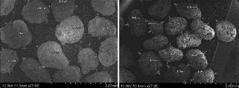 Particle Size Analysis Of Eudragit Rl Erl And Eudragit Rs Ers Download Scientific Diagram