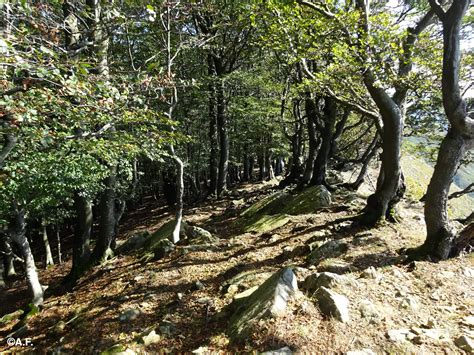 Monte Ramaceto Da Mezzanego L Appenninista