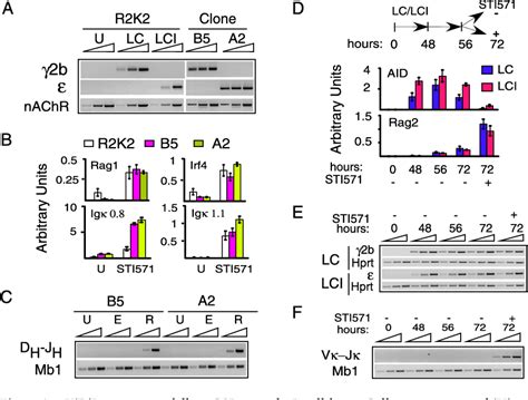 Figure 2 From Flexible Ordering Of Antibody Class Switch And Vdj