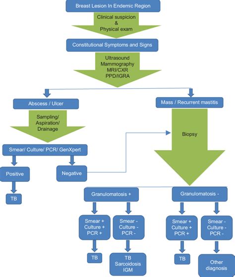 An Algorithmic Approach For Diagnosis Of Breast Tuberculosis Tb An Algorithmic Approach For Diagnosis Of Breast Tuberculosis Tb
