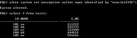 Secure An Oracle Database Using Transparent Data Encryption Rackspace Technology