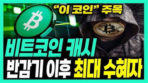 비트코인캐시 전망 당장 매수 반감기 이후 최대 수혜자 나카모토 사토시의 숨겨진 이 코인 주목 하세요 Youtube
