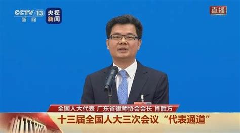 由港澳籍内地律师变身成大湾区律师 知乎