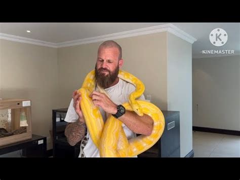Reticulated Python Setup YouTube