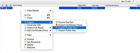 Converting Pfx Certificates To Dlb Pem File Certificate And Keys Via