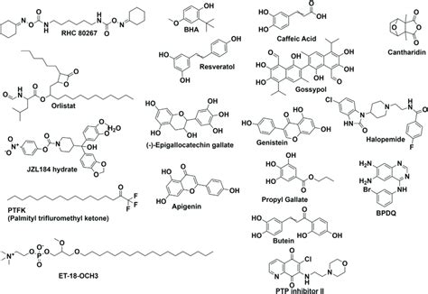Structures Of Compounds Selected As Inducers Of Lipid Body Accumulation