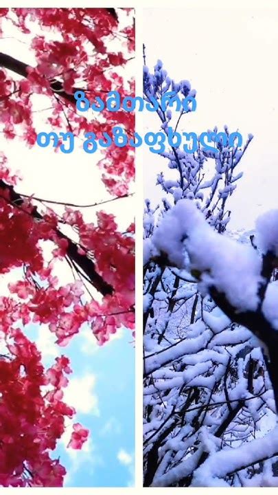 ზამთარი თუ გაზაფხული Youtube