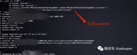 Flink Sql 实战：hbase 的结合应用 阿里云开发者社区