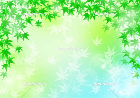 清涼感のある背景 青紅葉 イラスト素材 5570865 フォトライブラリー photolibrary