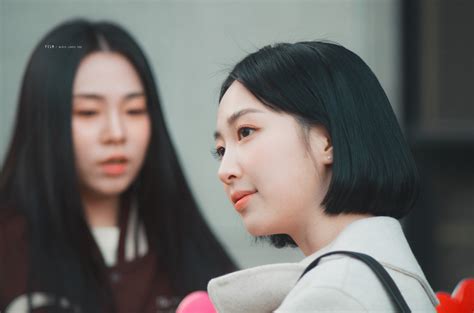 양반고양이 Nyangbann Twitter