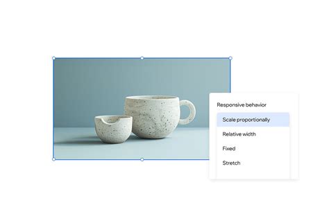 How To Resize Images Using CSS For Responsive Web Design