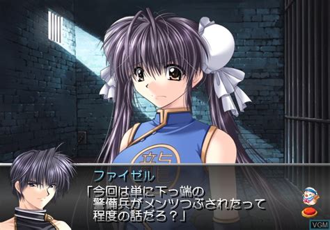 Castle Fantasia Erenshia Senki Plus Stories For Sony Playstation