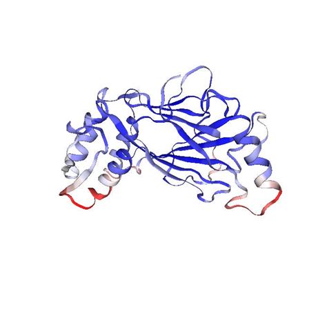 Interferon Regulatory Factor 3 Irf3 Abcam