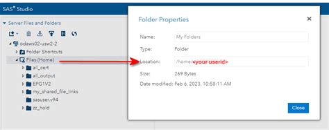 Libname Is Not Assigned On Sas Ondemand Sas Support Communities